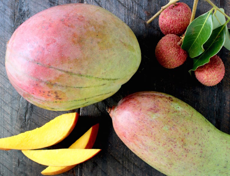 Lychee, Mango, Avocado & Shrimp Salad